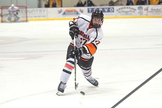 Gremlins hockey earns pair of wins, topping Bay Port, Jeffers | News ...